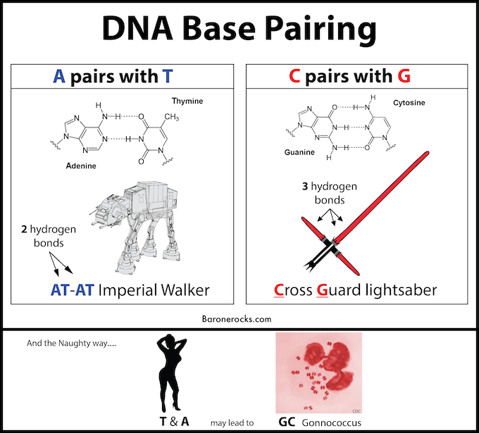 DNA Base Pair Mnemonic